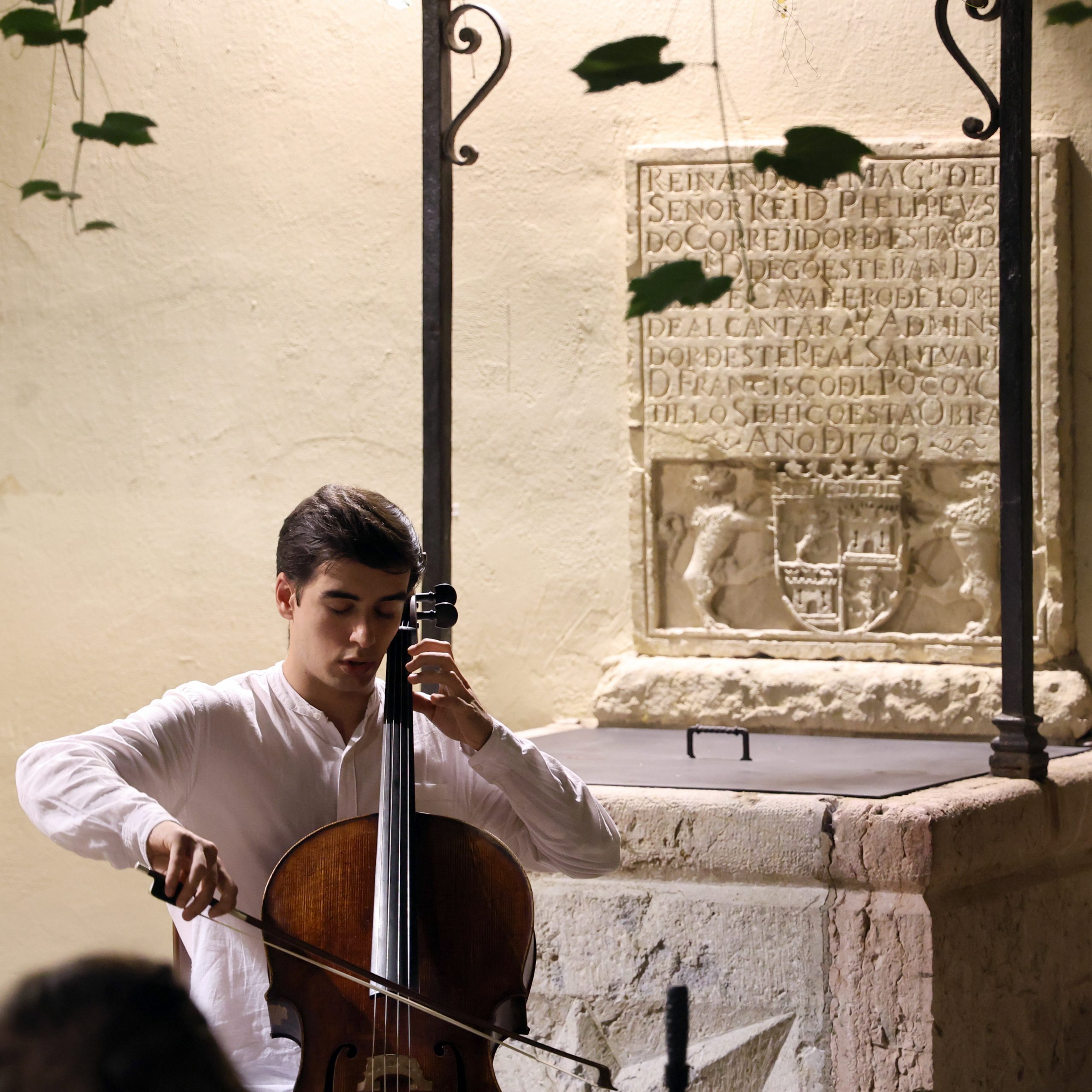 David Martín - AIE Sociedad de Artistas Intérpretes o Ejecutantes de España
